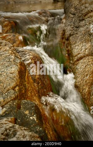 Freshwater spring runoff in Arizona Stock Photo - Alamy