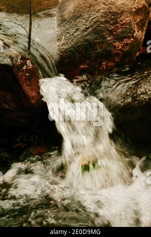 Freshwater spring runoff in Arizona Stock Photo - Alamy