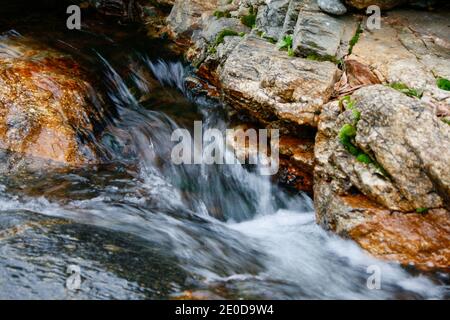 Freshwater spring runoff in Arizona Stock Photo - Alamy