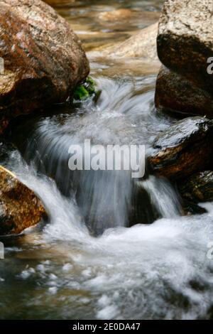 Freshwater spring runoff in Arizona Stock Photo - Alamy