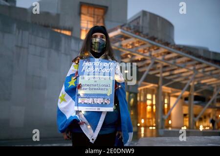 Supporters of the campaign group Yes for EU outside the Scottish ...
