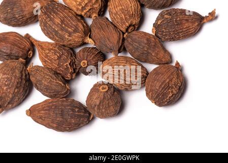 Black Cardamom, latin name: Amomum subulatum on a white background ...