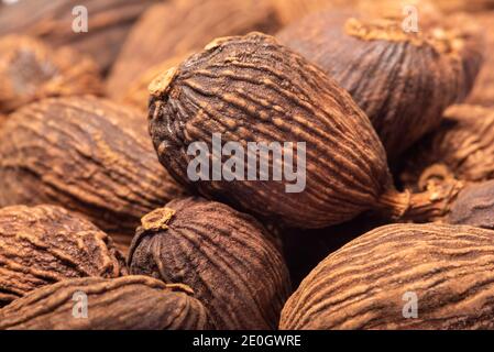 Black Cardamom, latin name: Amomum subulatum on a white background ...