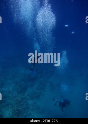 Two divers explore the colorful coral reefs of Thailand while ...