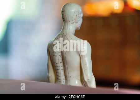Model doll, detail, acupuncture points, red, meridians, Series ...