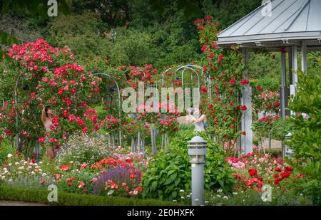 Rosengarten, Planten un Blomen, Hamburg, Deutschland | rose garden ...