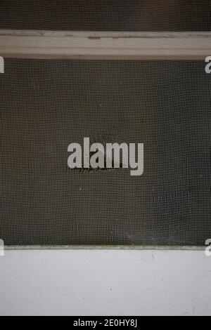 tattered hole in white textured paper on blue background Stock Photo ...