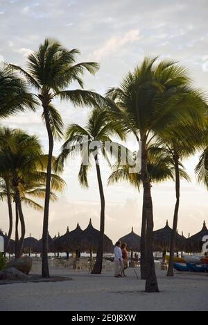 High Rise Resort Area, Palm Beach, Aruba, Caribbean Stock Photo - Alamy