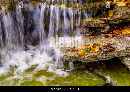 Crowe Bridge Conservation Area Northumberland Ontario Canada in autumn ...