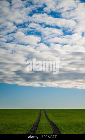 Podelzig, Germany. 31st Dec, 2020. View into the Priest Gorge. The ...