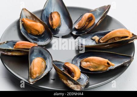 Mussels are a family of bivalve mollusks of great economic and ...