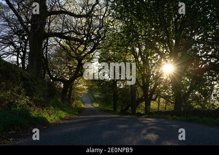Rural Scenic Landscape - Penistone, England, UK Stock Photo - Alamy