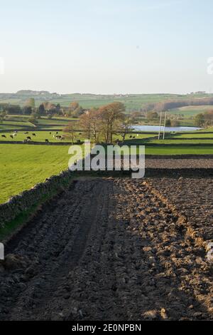 Rural Scenic Landscape - Penistone, England, UK Stock Photo - Alamy