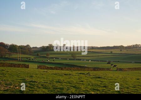 Rural Scenic Landscape - Penistone, England, UK Stock Photo - Alamy