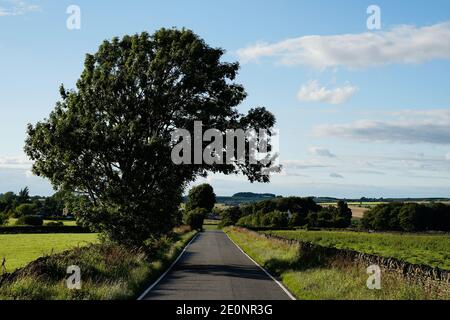 Rural Scenic Landscape - Penistone, England, UK Stock Photo - Alamy