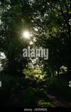 Rural Scenic Landscape - Penistone, England, UK Stock Photo - Alamy