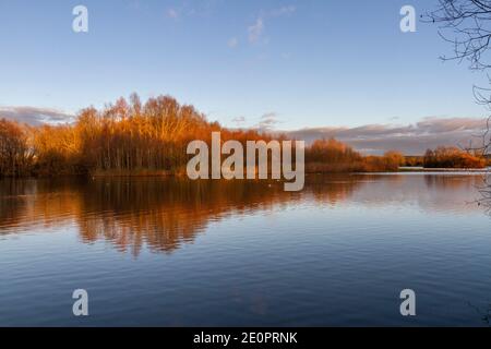 Spade Oak Nature Reserve, Bourne End, Buckinghamshire, England, UK ...