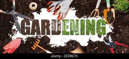 Gardening concept banner illustration with tools and seedlings on soil ...