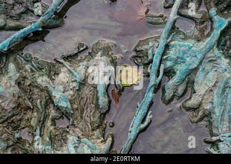 Forgotten Streams, Bloomberg Arcade Stock Photo - Alamy