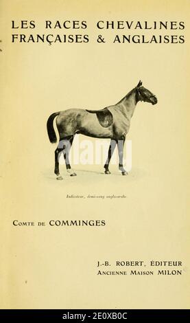 Les races chevalines française et anglaises Stock Photo - Alamy