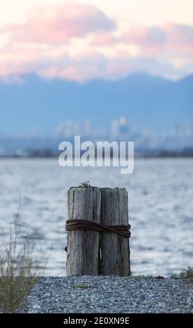 Wooden logs tied together with rope to make a raft which is laying on ...