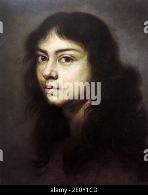 'Portrait of a Young Man' by Lieven Mehus is an oil painting from the ...