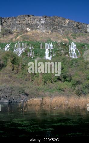 Minnie Miller Springs (part of Thousand Springs), Idaho Stock Photo - Alamy
