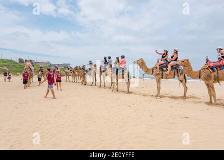 Camel rides are very popular with visitors to Birubi Beach near Anna ...
