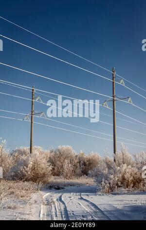 electrical wires in the ice Stock Photo - Alamy