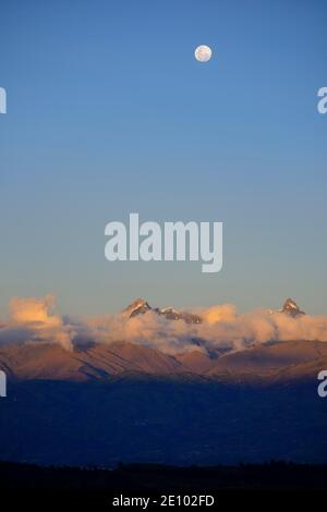 Ecuador, Chimborazo province, Ecuadorian Andes, flowers and the summit ...