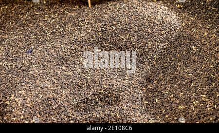 Pile of esfand herb sold in a traditional Iranian market. Persian ...