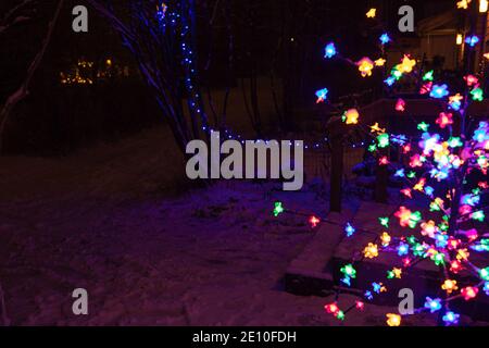 multicolored garland on the tree. .Natural snow background. Concept ...