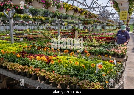 Andrews Greenhouse in Amherst, Massachusetts Stock Photo - Alamy
