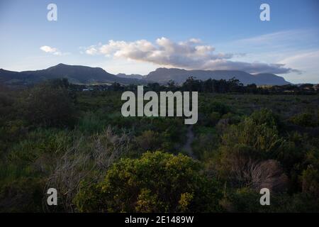 Constantiaberg, Cape Town, South Africa - 18/10/2020 Sandy contours of ...