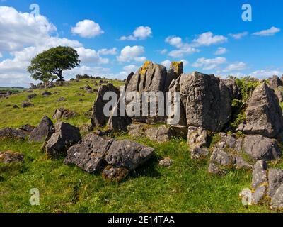 Limestone rocks and tree at Roystone Rocks near Parwich in the Peak ...