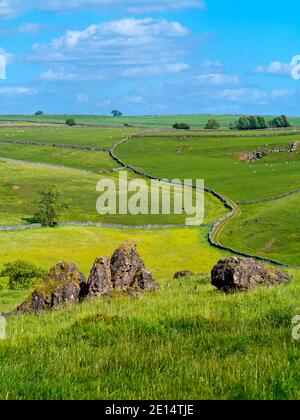 Limestone rocks and trees at Roystone Rocks near Parwich in the Peak ...