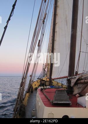 sailboat, bug, sailboats, sailing, sailing boat, sailing boats, bugs ...