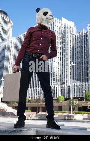 Young business man wearing a panda head mask reflected on a glass of a ...