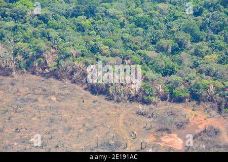 Aerial view of the Brazilian Amazonian Rain Forest showing areas of ...