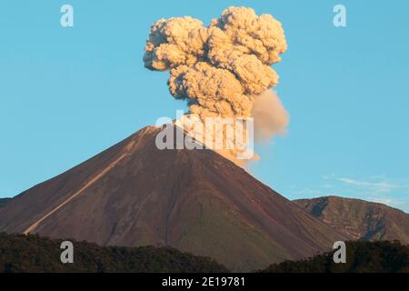 Reventador Volcano erupting at dawn, August 2016. The mountain is ...