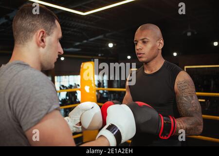 confident MMA boxers fighters fight in fights without rules in ring ...