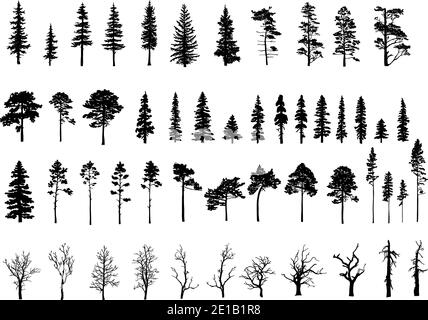 Set of tree silhouettes of different types and shapes isolated on white ...