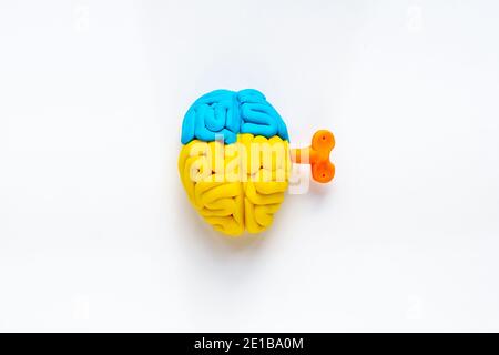 Idea concept. Use your brain. Model of clay in the hand, top view Stock ...