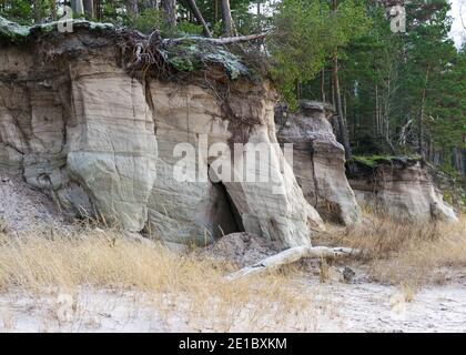 Land outcrops. The outcrops are mainly composed of fine-grained to ...