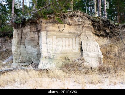 Land outcrops. The outcrops are mainly composed of fine-grained to ...