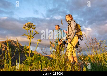 Three Hikers doing a tour in early morning hours Stock Photo - Alamy