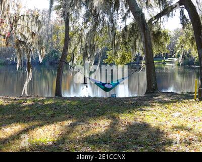 Florida Gainesville University of Florida campus,Lake Alice American ...