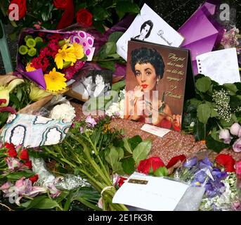 LOS ANGELES, CA - MARCH 23: (L-R) Actress Schae Harrison and actress ...