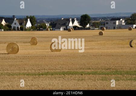 Home behind a harvested field Stock Photo - Alamy