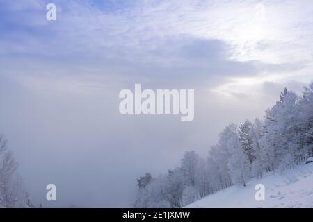 Light haze in the forest. Frost melts on the grass from the sun Stock ...